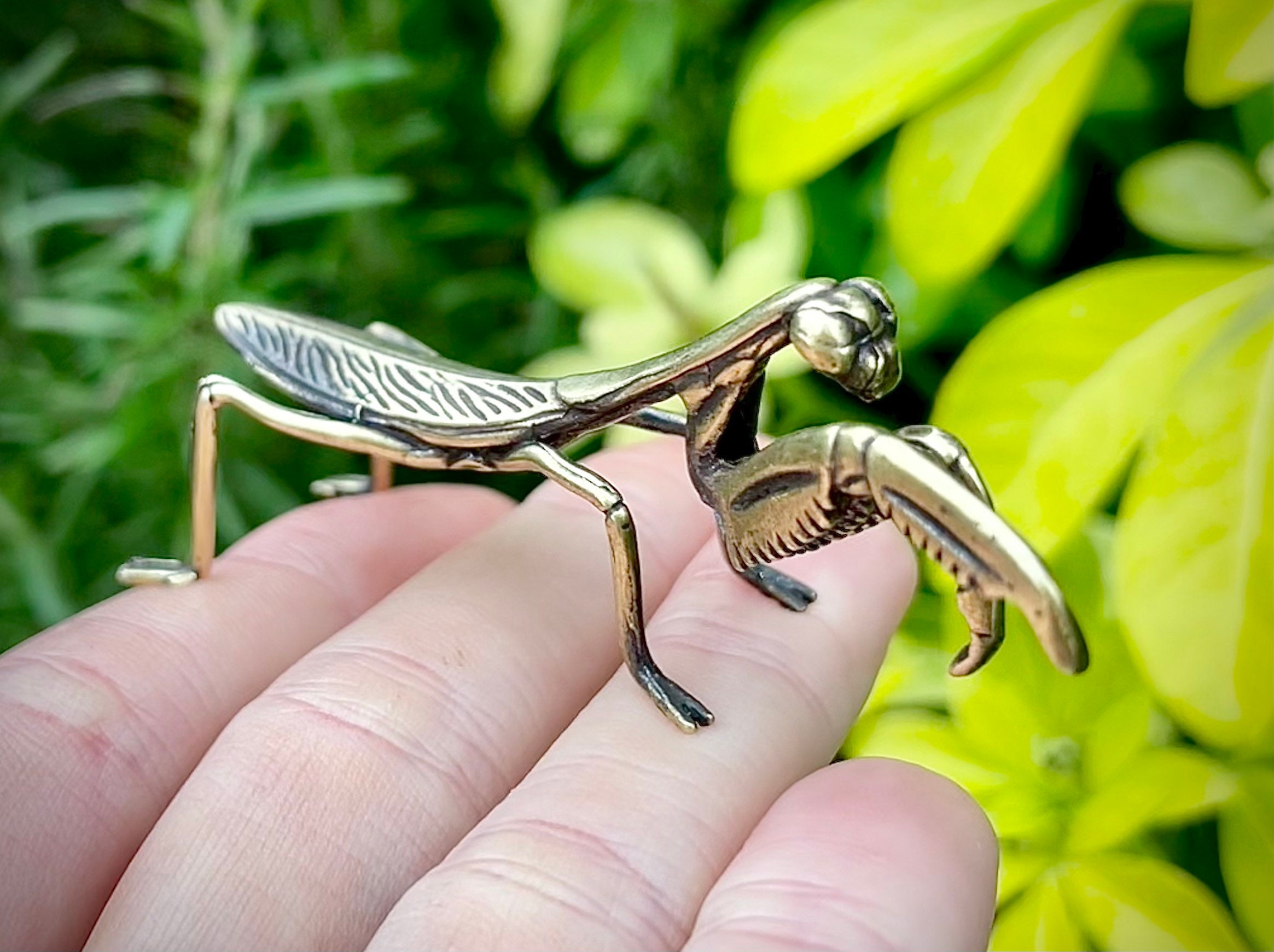 Fine Lifelike Solid Brass Praying Mantis Statue Metal Pen - Etsy
