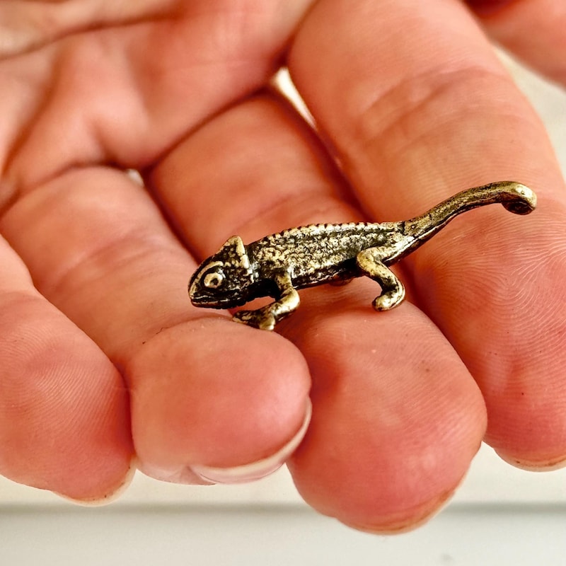 Chameleon Charm - Etsy