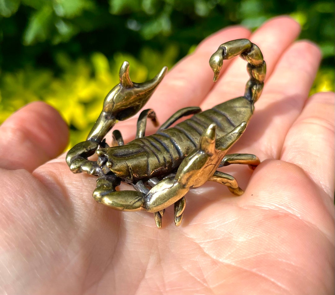 Scorpion Figurine, Solid Brass Statue, Fountain Pen Rest, Chopsticks ...
