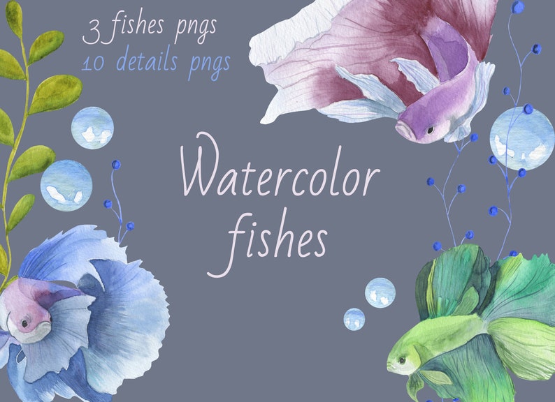 Handpainted Fish painting Fish art watercolor fish Fish | Etsy