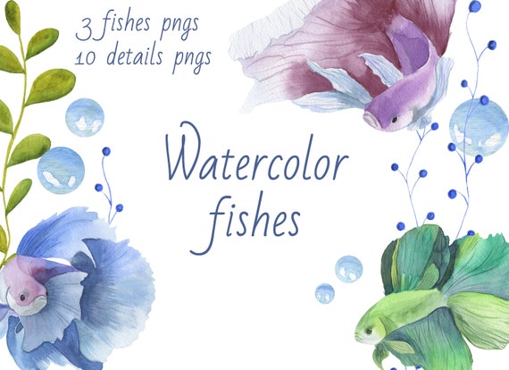 Handpainted Fish painting Fish art watercolor fish Fish | Etsy