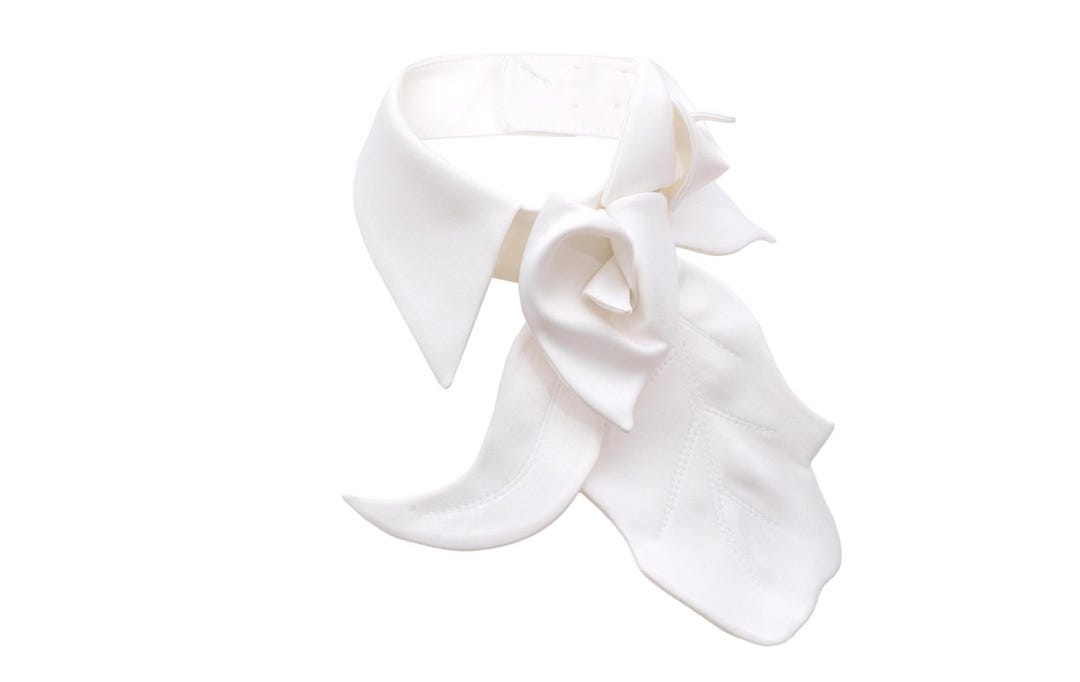 Designer Neckwear - Collar White /blossom Collar/ Floral Detachable ...