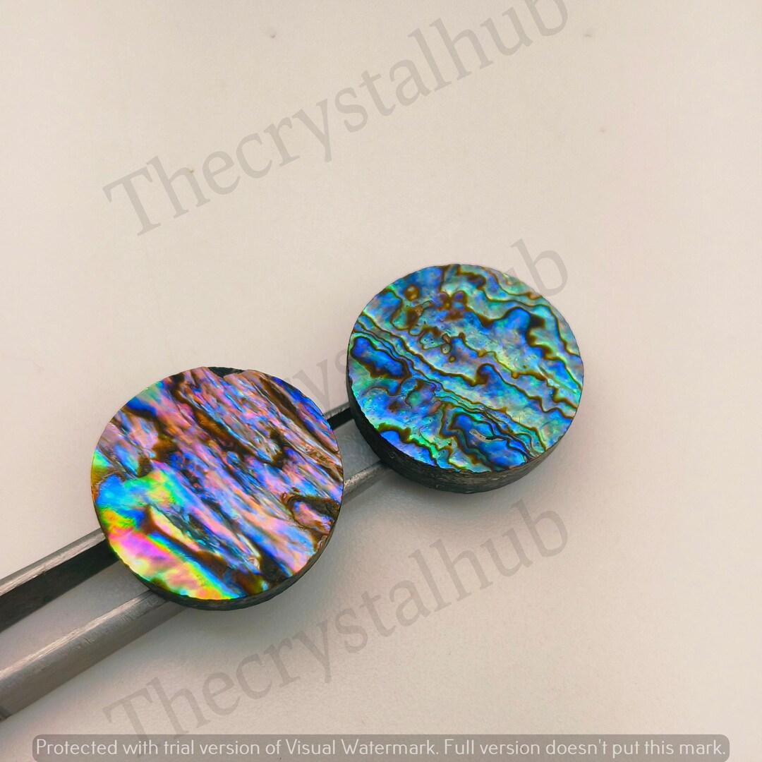 Natural Abalone Shell Coin Discs, Gemstone Jewelry Supplies (6-20 Mm ...