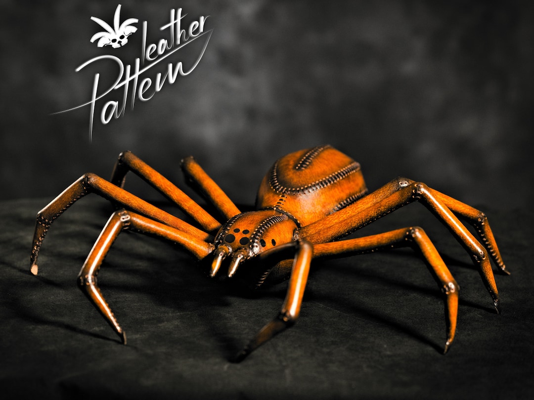 Spider Leather Pattern PDF - by Leatherhubpatterns - Etsy
