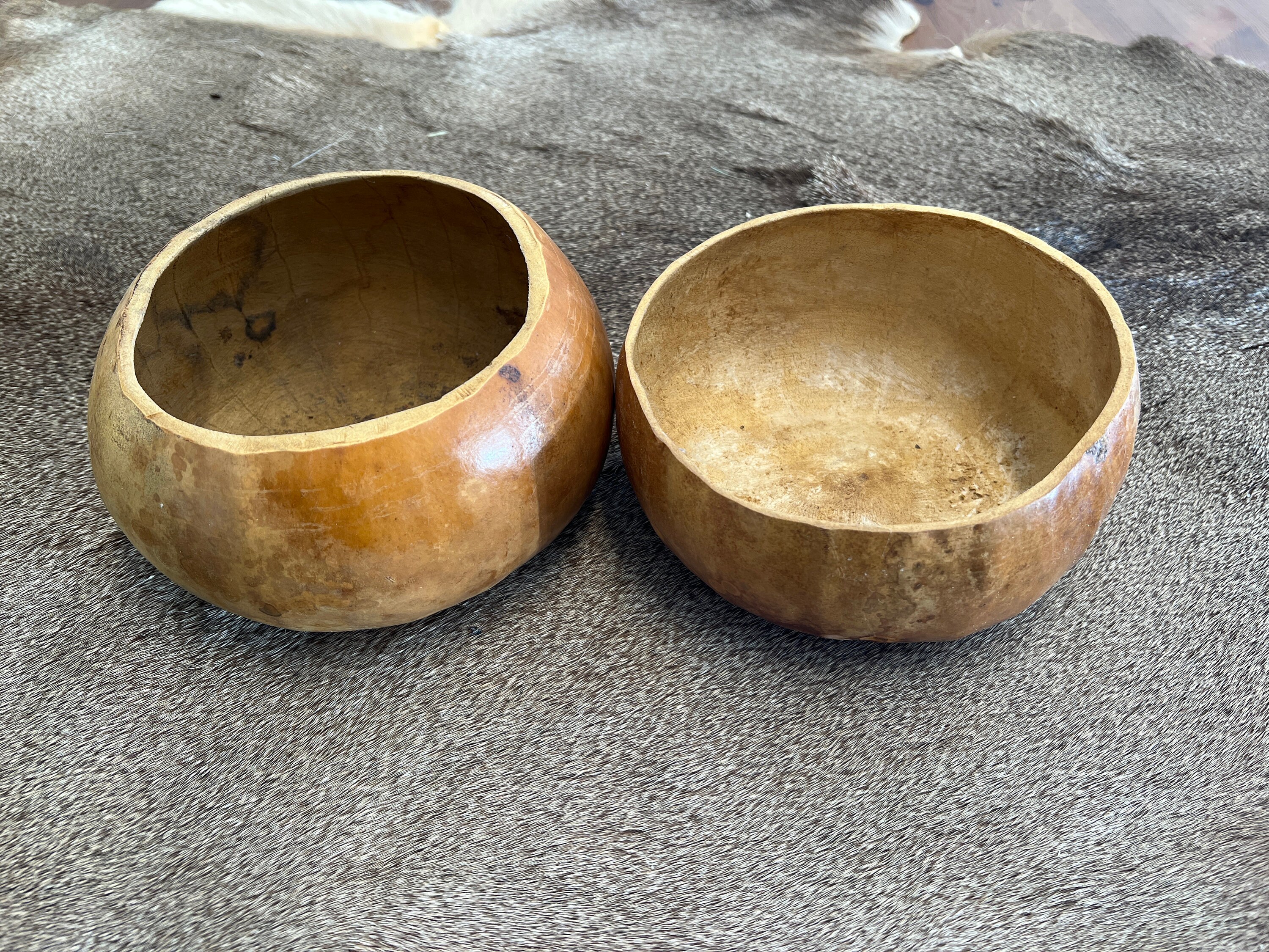 Gourd Bowls - Etsy