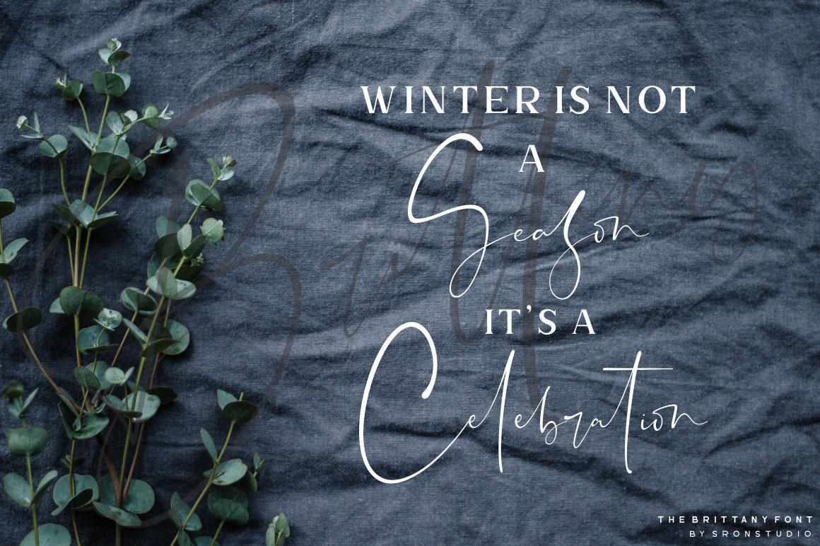 The Brittany / Font Trio - Script Fonts, Handwritten Fonts, Calligraphy ...