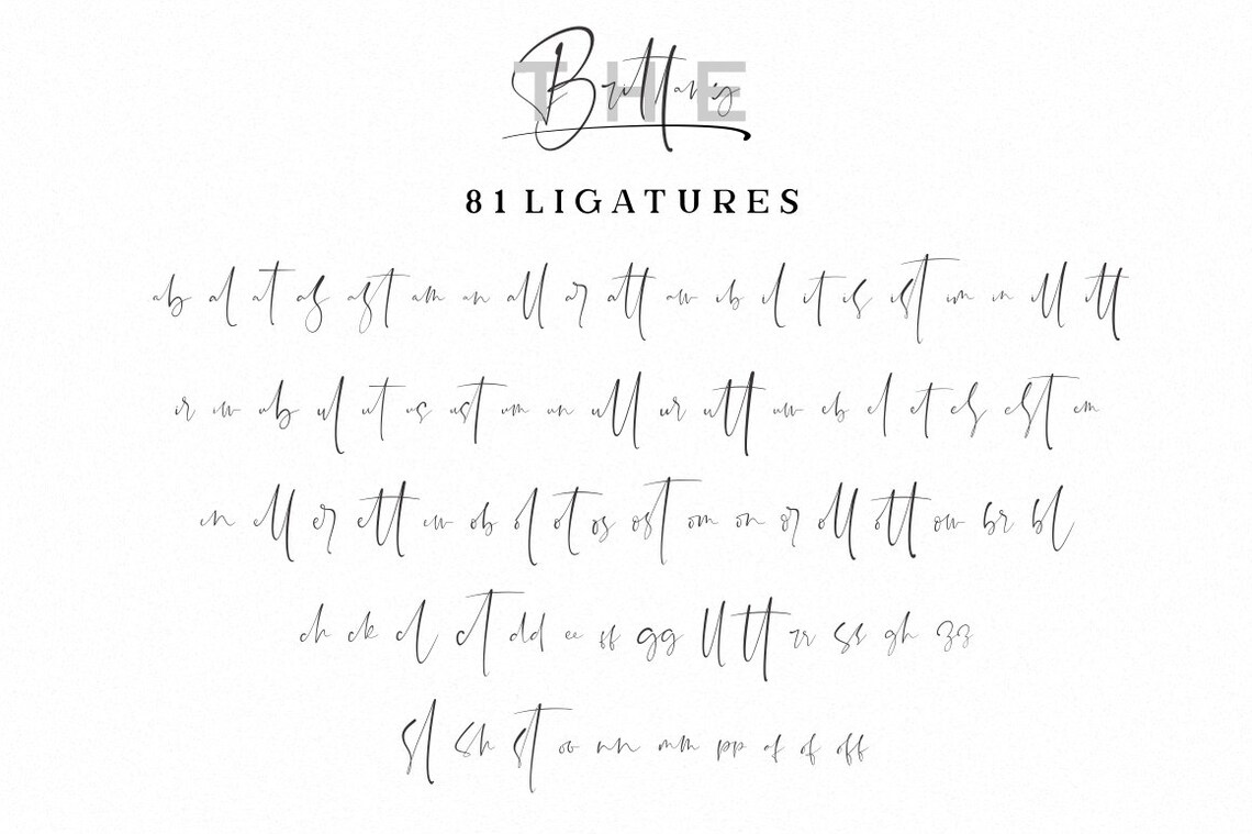 The Brittany / Font Trio Script Fonts, Handwritten Fonts, Calligraphy ...