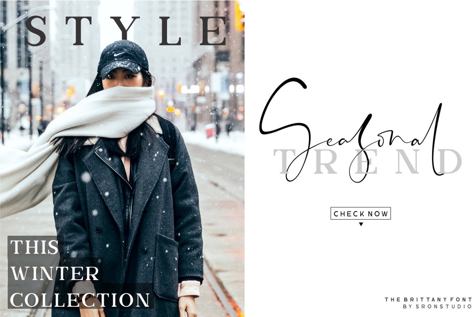 The Brittany / Font Trio Script Fonts, Handwritten Fonts, Calligraphy ...