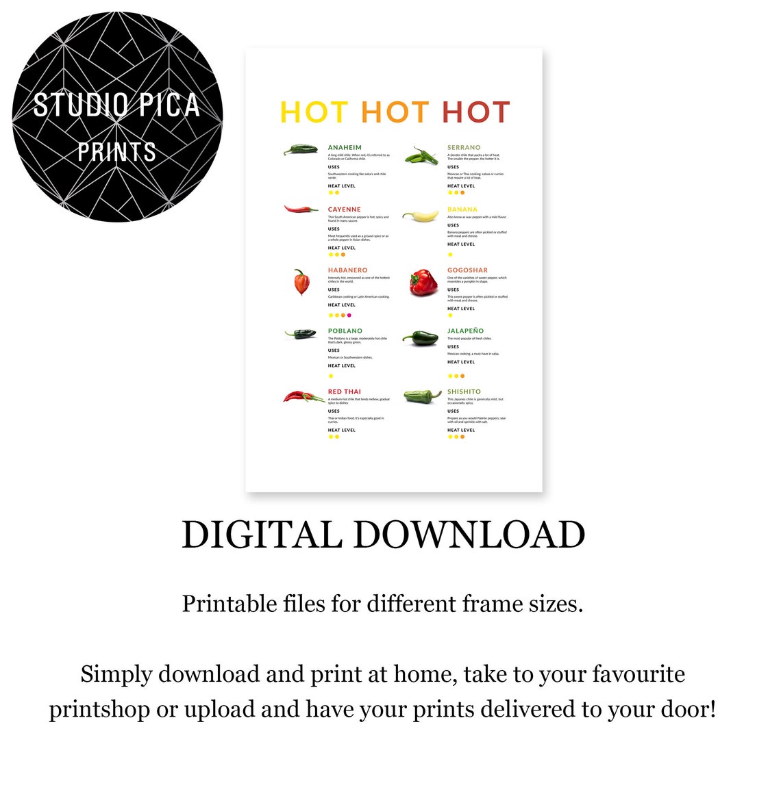 Food Poster Peppers Info Graphic, Pepper Poster - Etsy