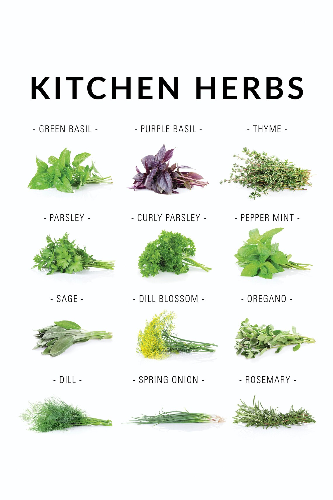 Keuken Kruiden poster Kruiden print - Etsy Nederland