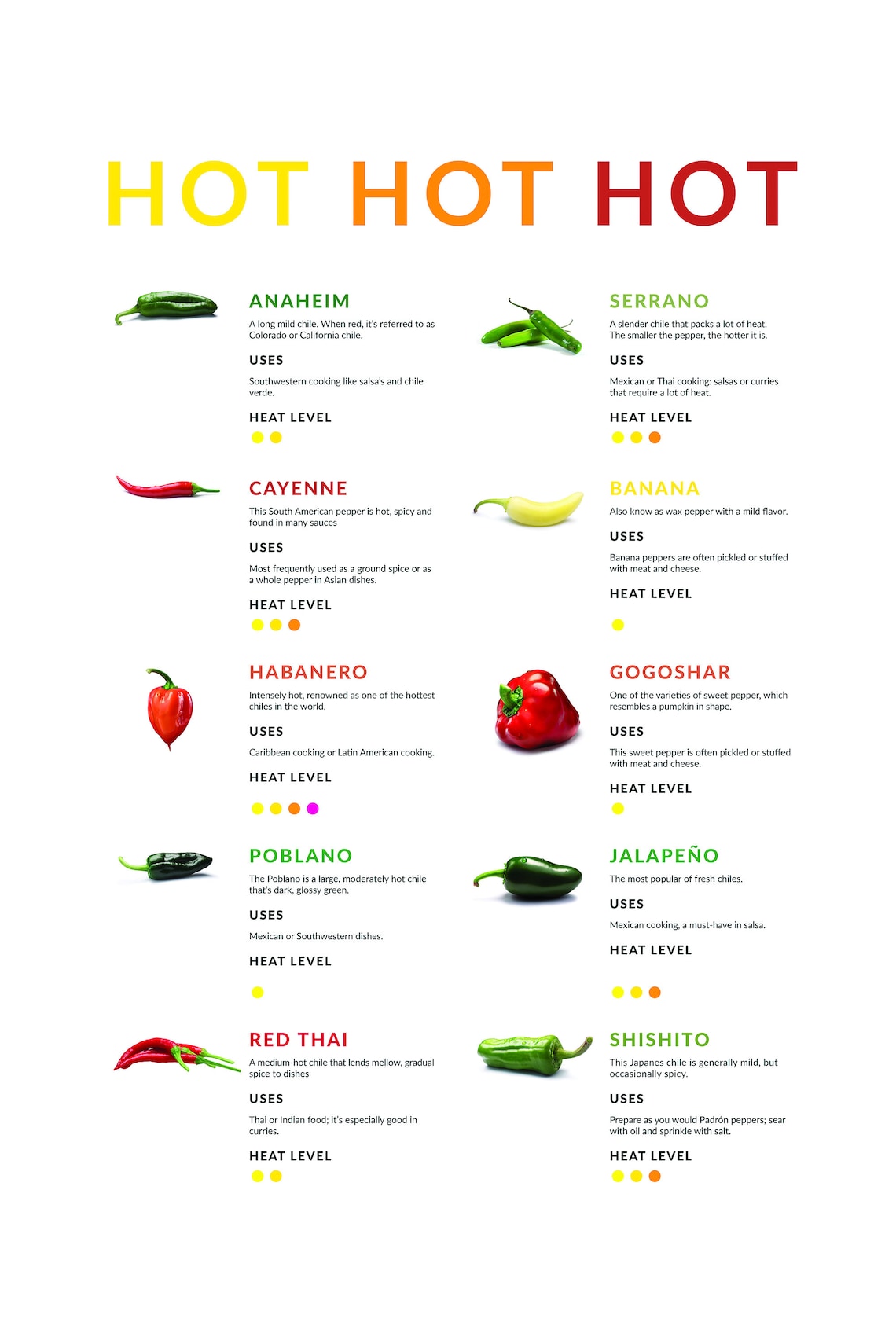 Food Poster Peppers Info Graphic, Pepper Poster - Etsy