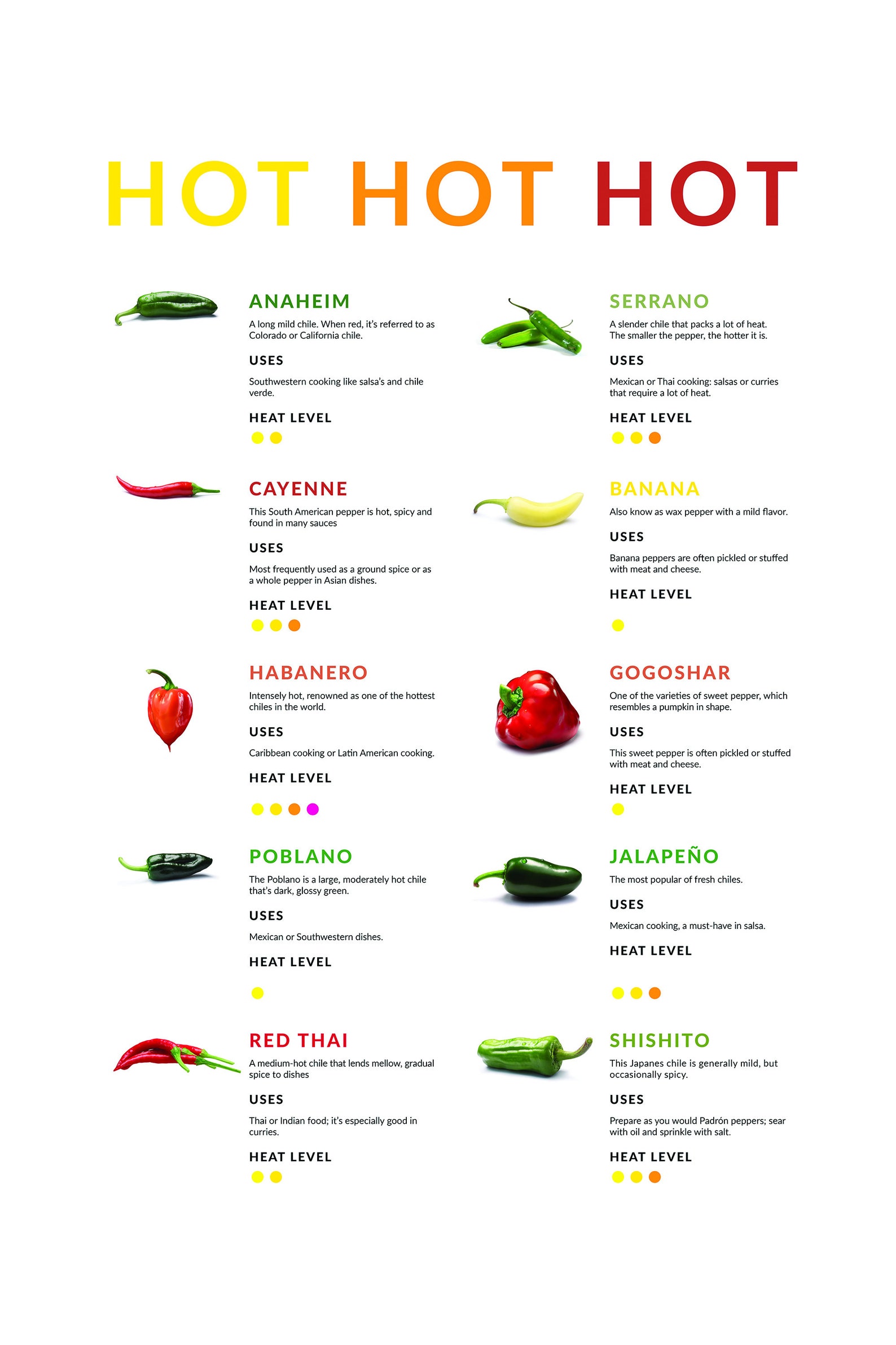 Food Poster Peppers Info Graphic, Pepper Poster - Etsy