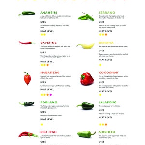 Food Poster Peppers Info Graphic, Pepper Poster - Etsy