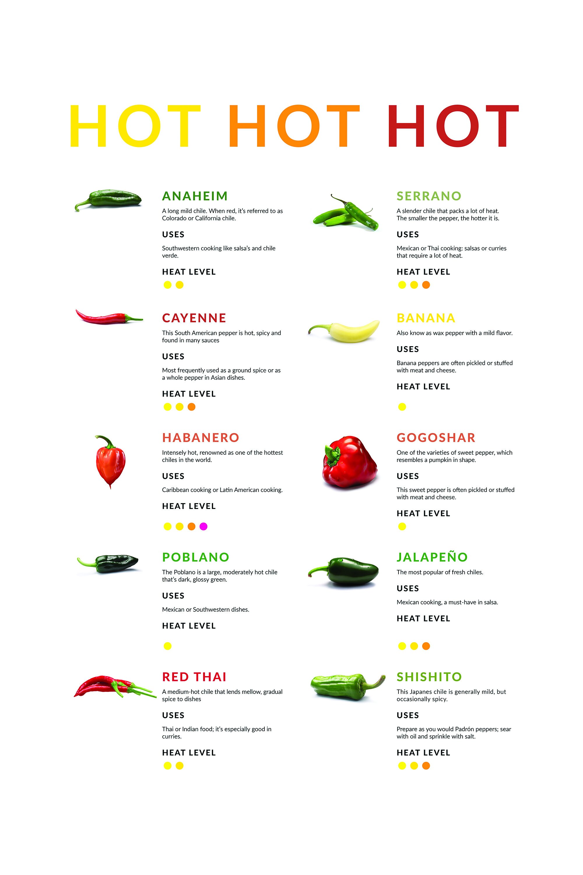 Food Poster Peppers Info Graphic, Pepper Poster - Etsy