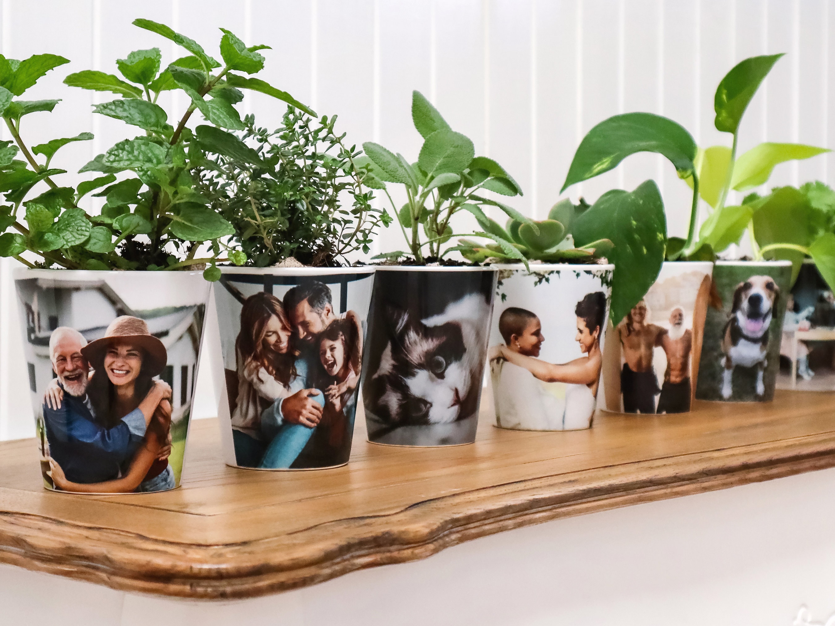 Personalised Plant Pot, Custom Planter, Photo Pot Plant, Photo Flower ...