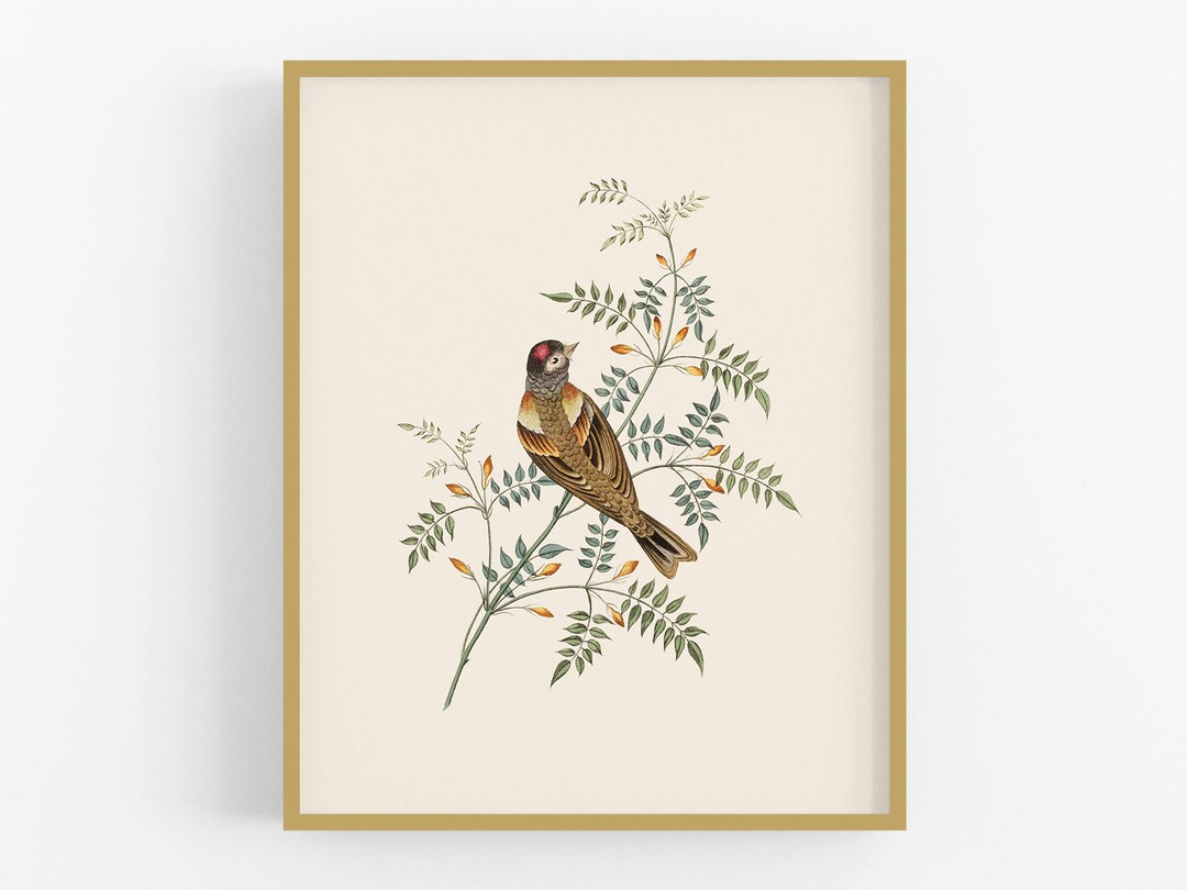 Bramble Finch Storybook Baby Nursery Art Print - Etsy