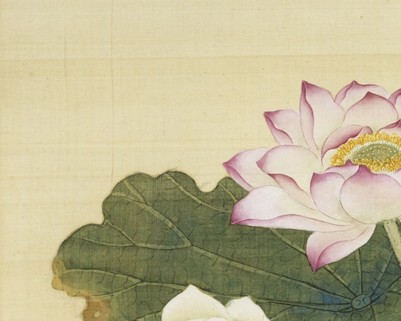 Chinese Pink Lotus Flower Chinoiserie Art Print Lotus Art Art Chinoiserie Chinese Art Flower Art Water Lily Art Asian Art Etsy