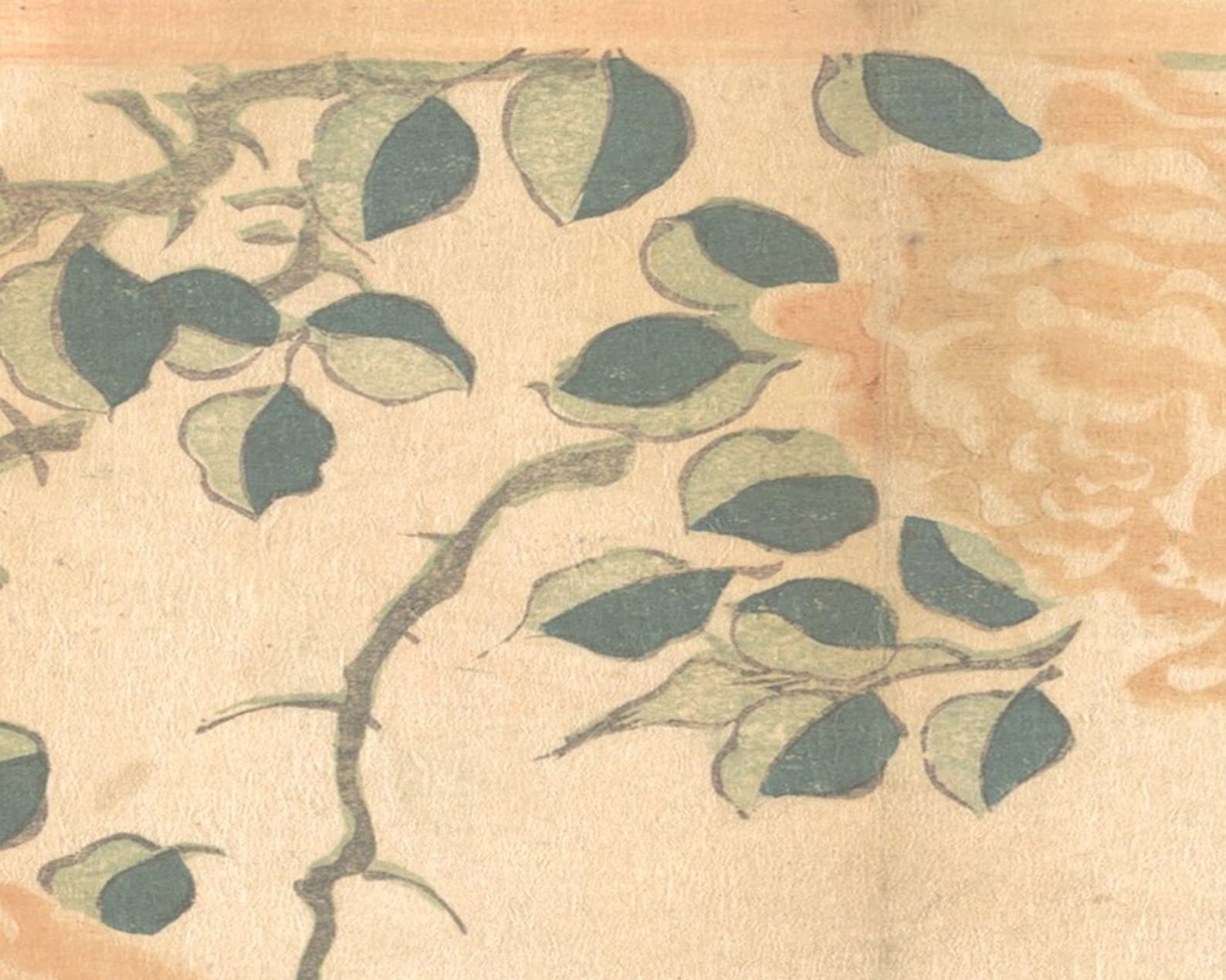 Triptych Set of Three Peach Rose Flowers Botanical Art Prints ...