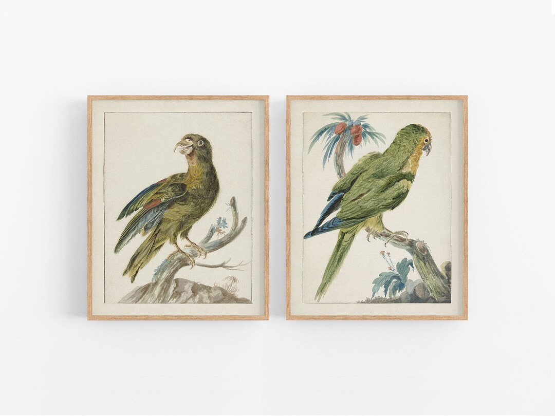 Set of Two Bird Parrot Prints / Art Print / Bird Prints / Wall Decor ...