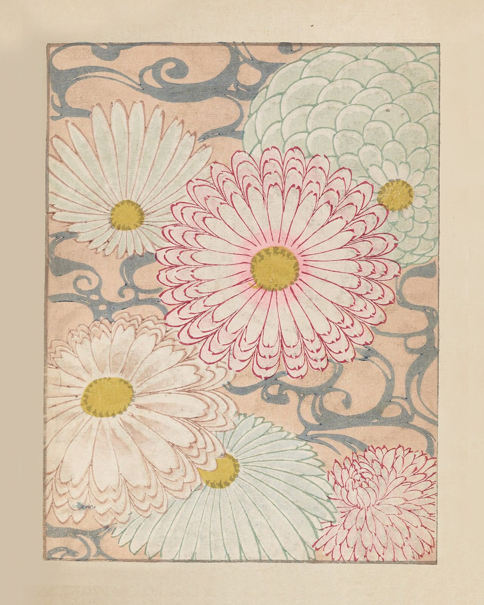 Japanese Water Lily Flowers Botanical Art Print / Print / Japanese Art ...