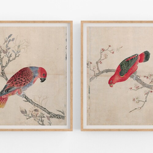 Set of Two Japanese Parrot Art Prints / Vintage Art / - Etsy