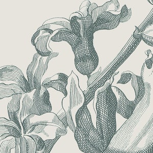 Set of Four Graphic Flower Etching Art Prints in Teal / Botanical Art ...