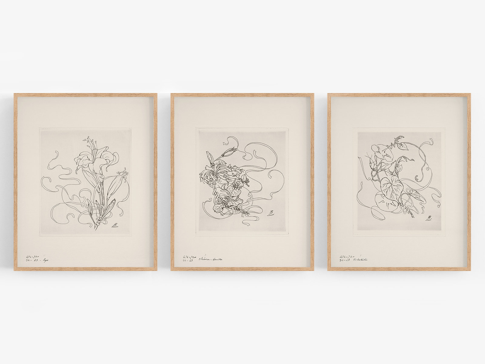 French Flowers Drawing