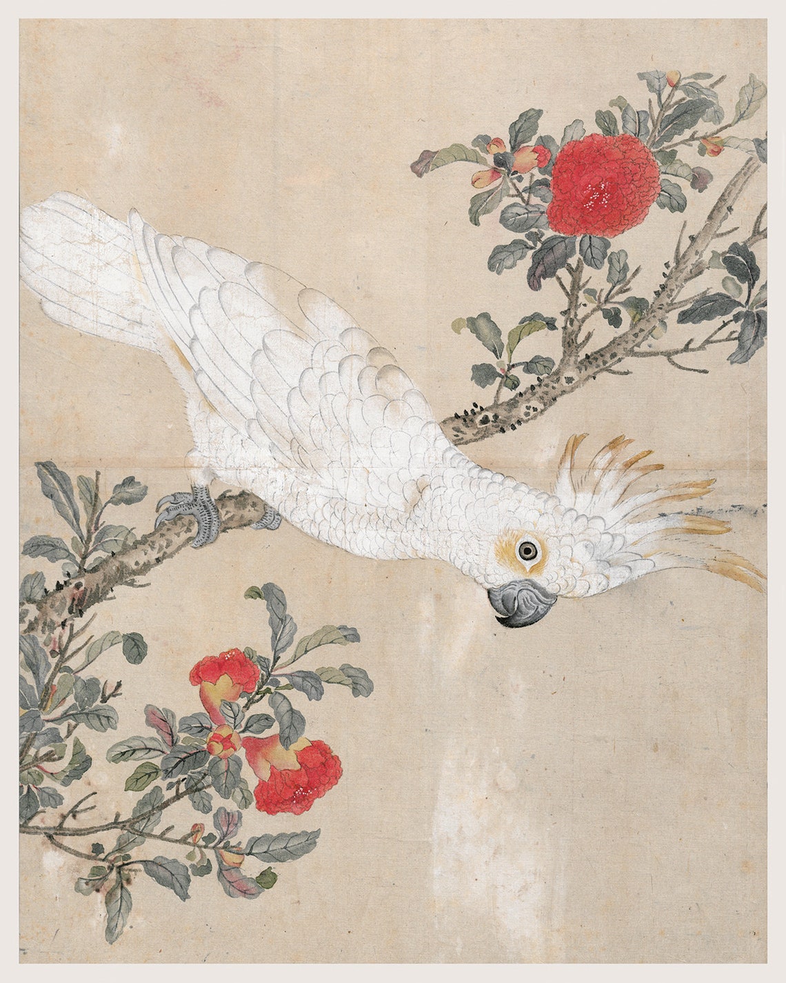 Set of Two Japanese Parrot Art Prints / Vintage Art / | Etsy