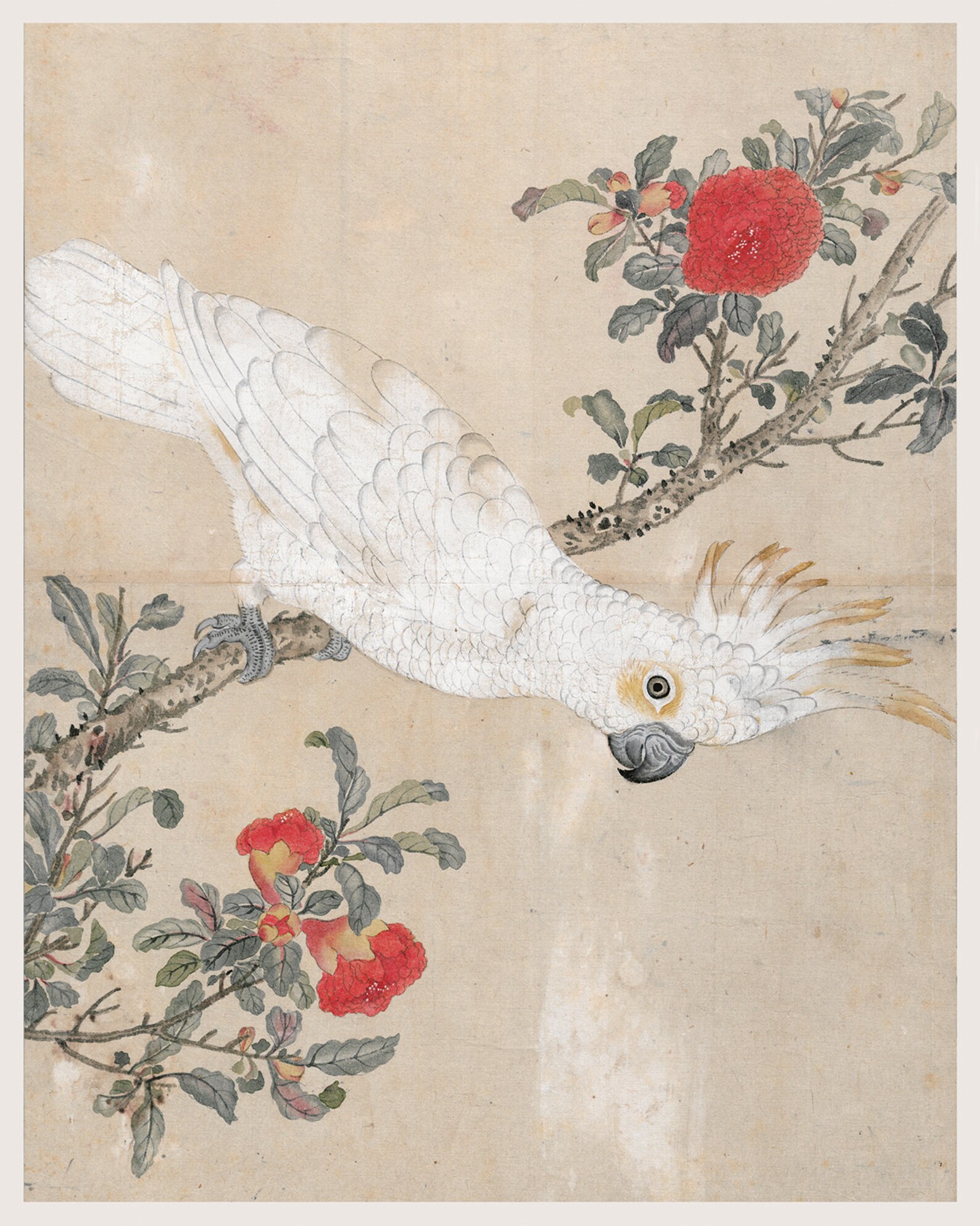 Set of Two Japanese Parrot Art Prints / Vintage Art / | Etsy