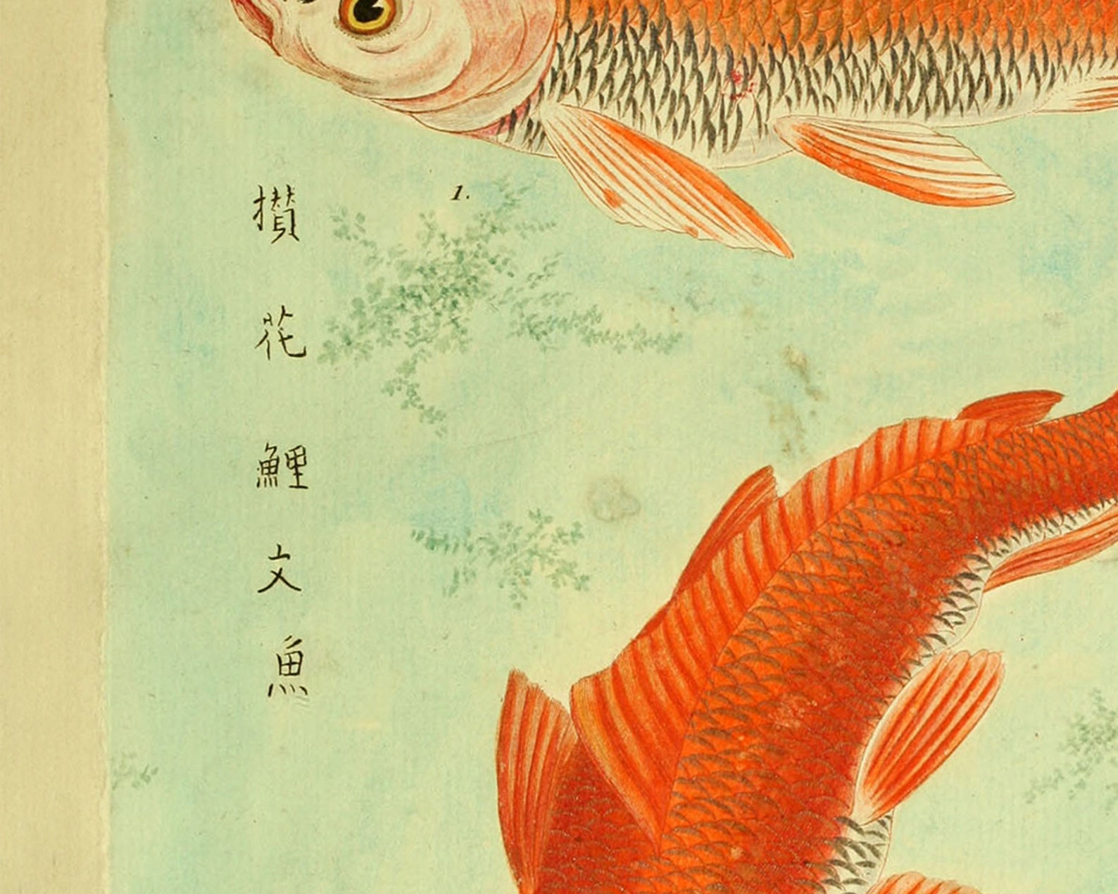 Chinese Koi Fish Art Prints - Set of Two - Etsy