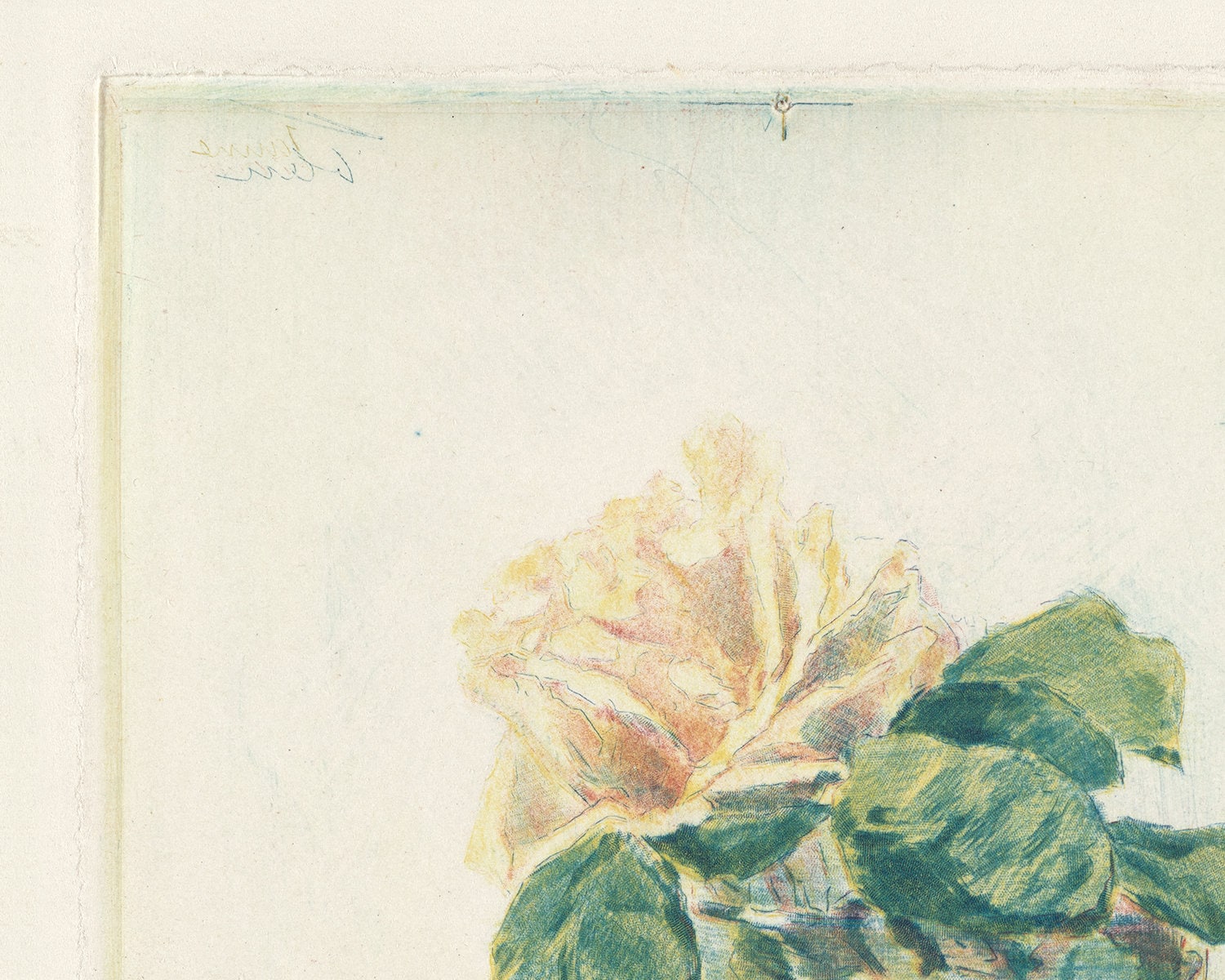 Set of Two Rose Art Prints / Rose Art / Vintage Art / Art | Etsy