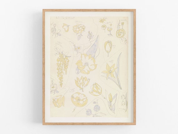 Dutch Porcelain Flower Sketch Art Print / Botanical Art / Art - Etsy