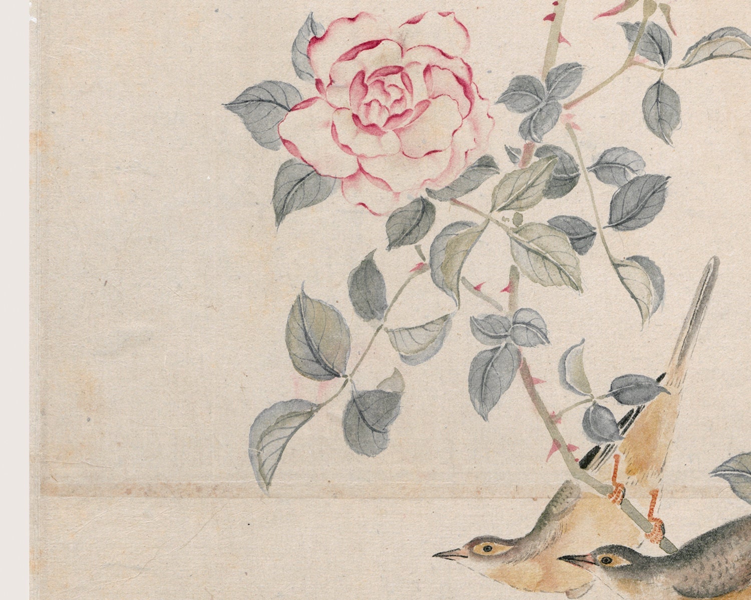 Japanese Bird Art Print / Vintage Art / Botanical Prints / - Etsy