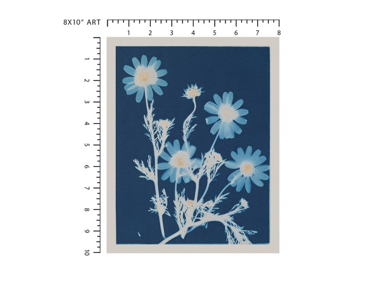 Set of Two Cyanotype Flower Botanical Art Prints / Vintage | Etsy