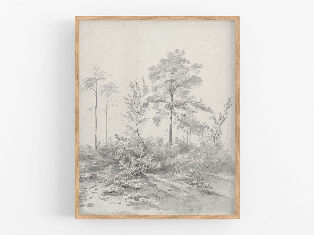 Tall Trees / Art / Farmhouse Decor / European Art / Tree Art / Sketch ...