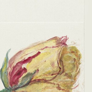 Yellow Rose Flower Botanical Art Print / Vintage Art / Flower Art ...