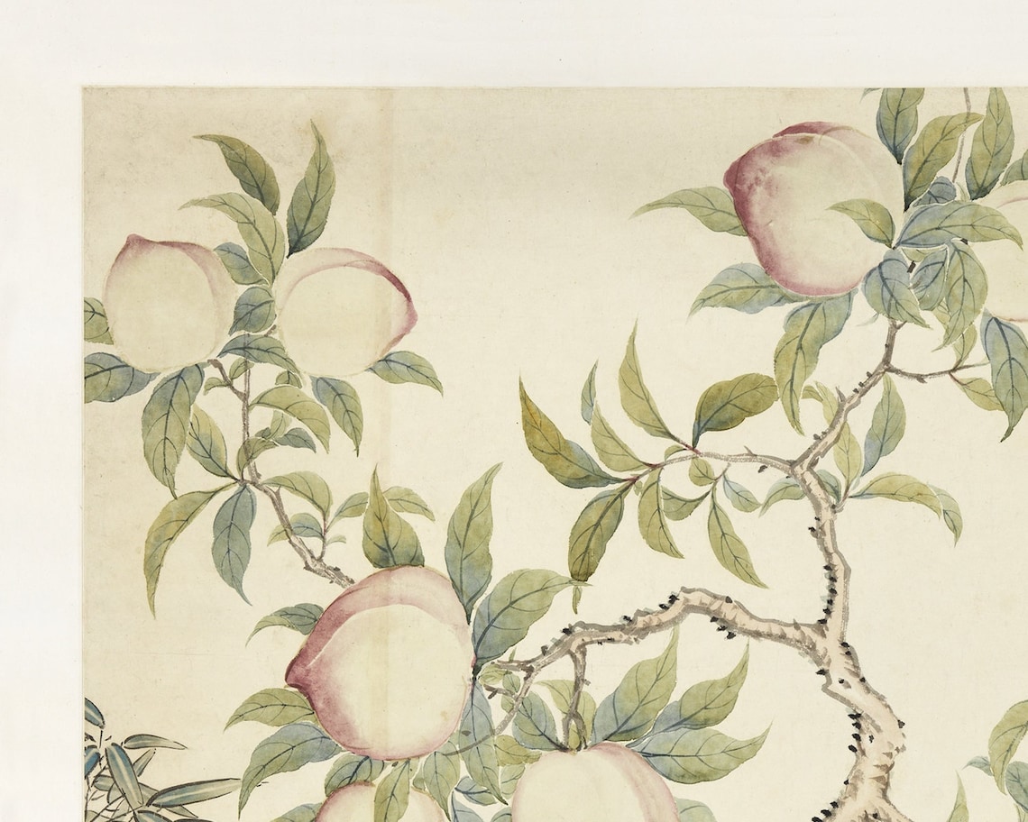 Chinese Peaches and Flowers Chinoiserie Art Print - Etsy