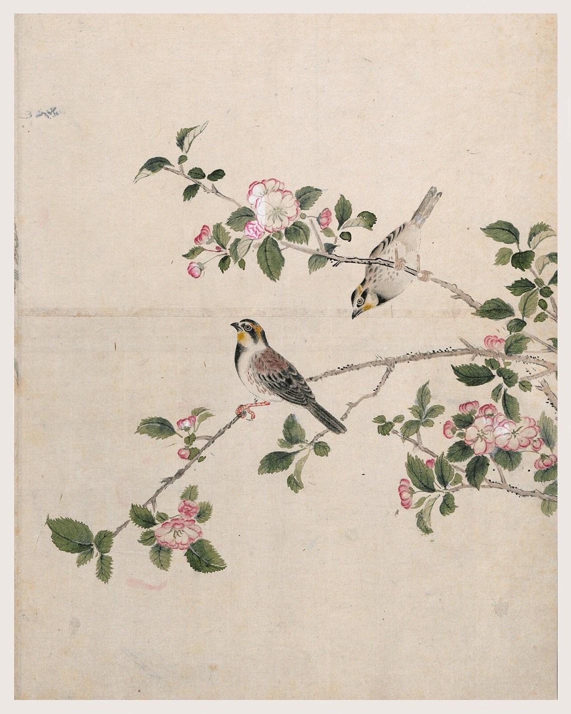 Japanese Bird Art Print / Vintage Art / Botanical Prints / - Etsy