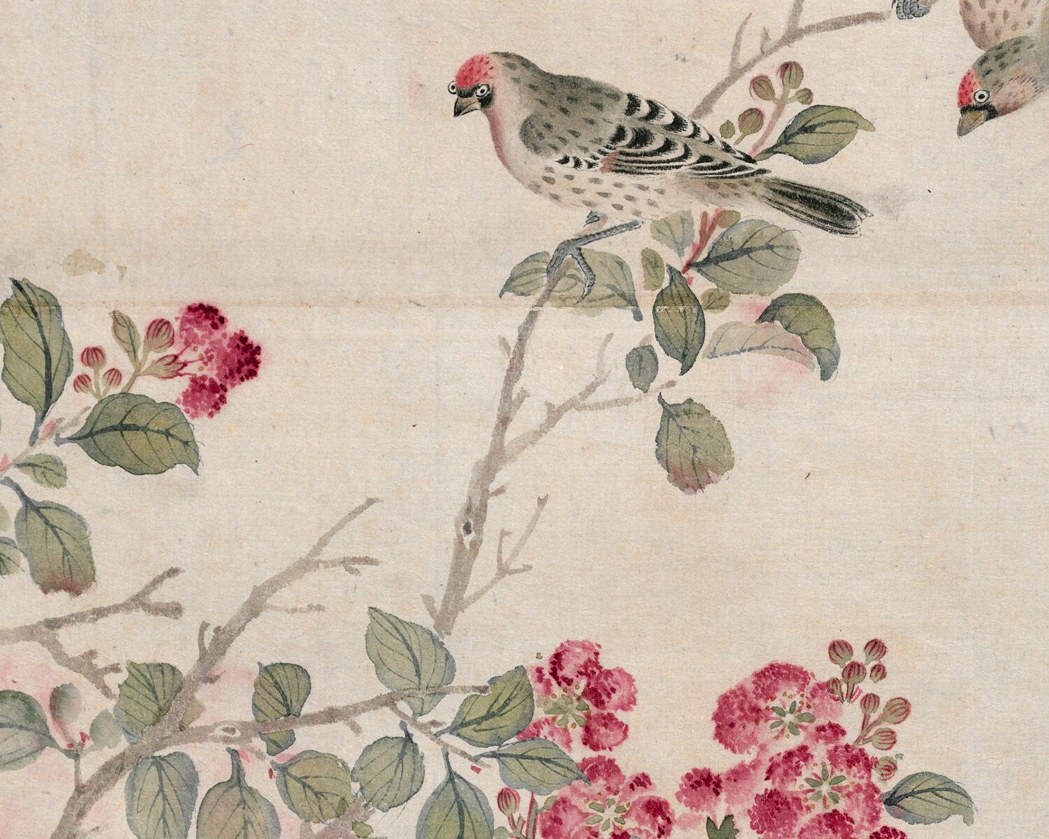 Japanese Bird Art Print / Vintage Art / Botanical Prints / - Etsy