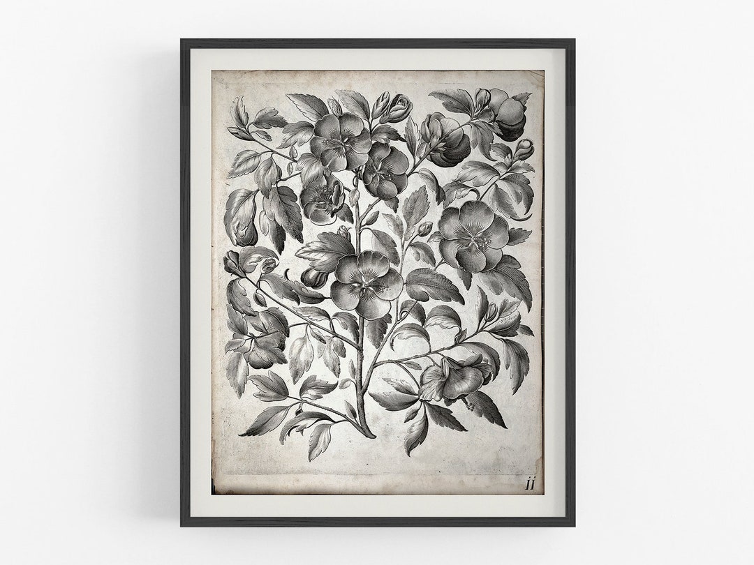 Botanical Flower Design Art Print #2 - Etsy