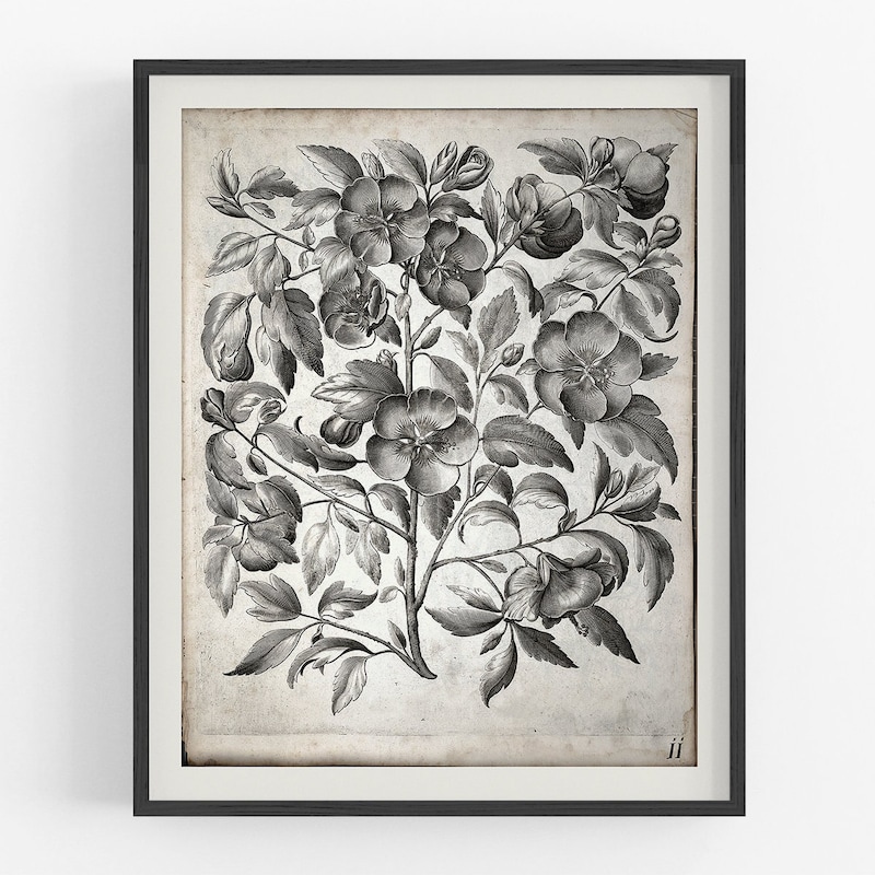 Black Botanical - Etsy