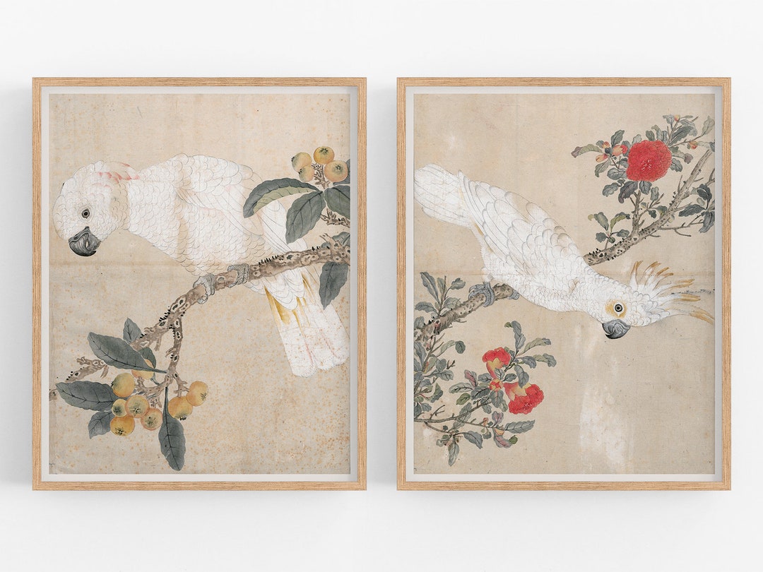 Set of Two Japanese Parrot Art Prints / Vintage Art / - Etsy
