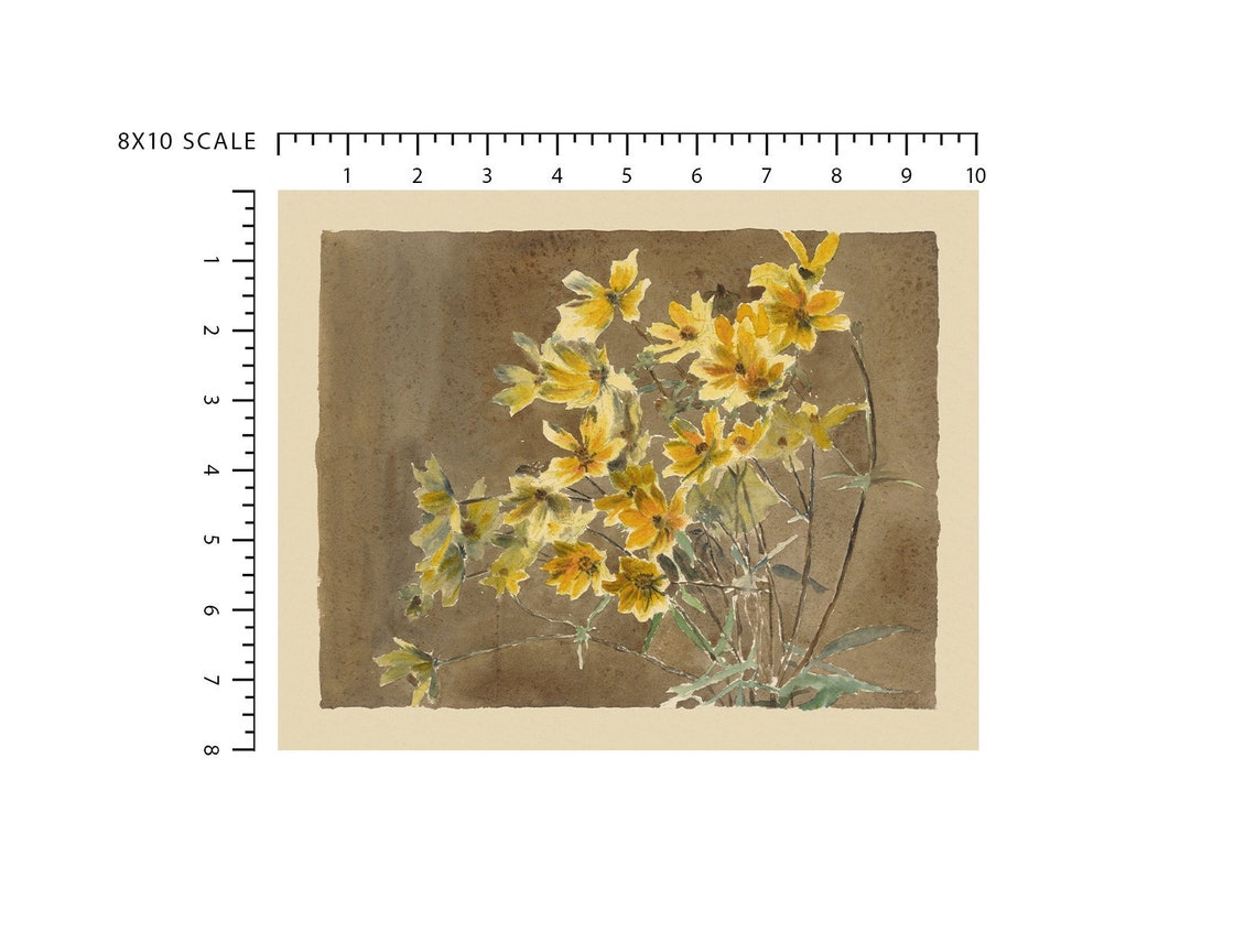 Yellow Daisies Watercolor Art Print / Daisy Painting / Daisy - Etsy