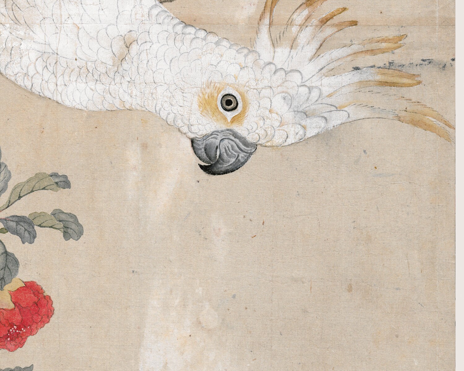 Set of Two Japanese Parrot Art Prints / Vintage Art / | Etsy