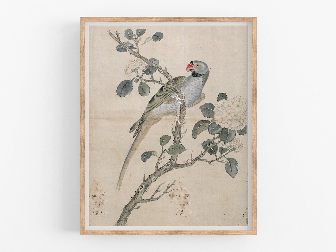 Japanese Parrot Art Print / Art / Botanical Prints / Print / Japanese ...