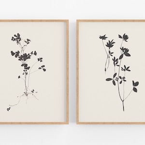 Set of Two Black and White Vintage Botanical Herb Prints / Botanical ...