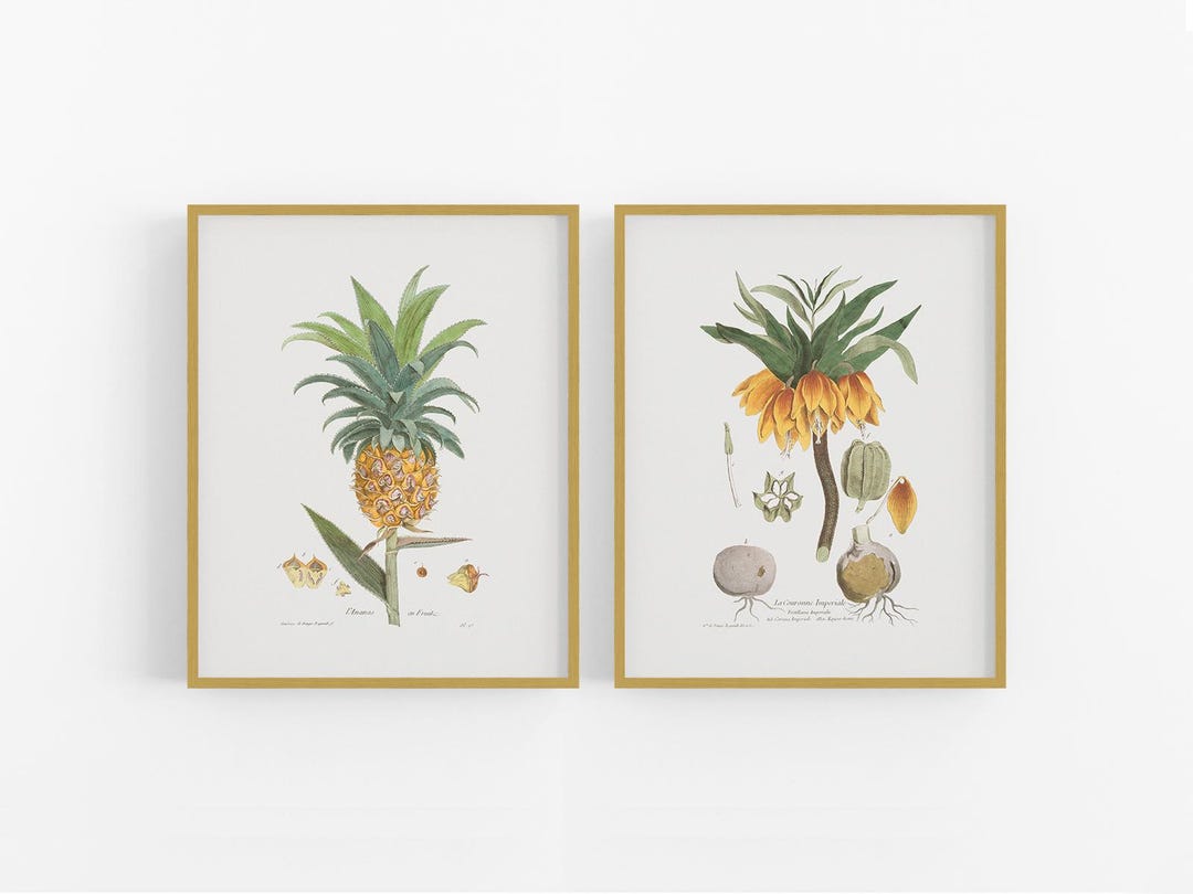 Pineapple and Crown Imperial Botanical Fruit and Flower Art Prints ...
