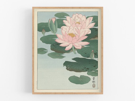 Japanese Water Lily Flowers Botanical Art Print / Vintage Art | Etsy