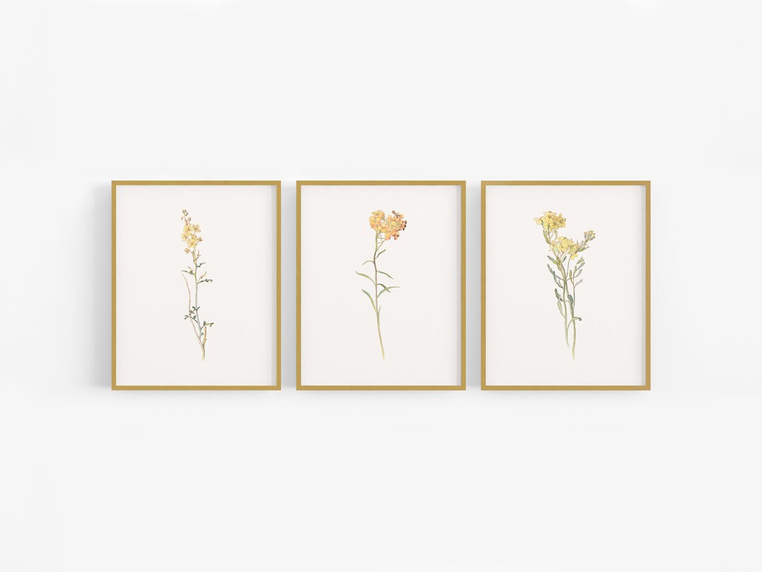 Yellow Wildflower Botanical Art Prints - Set of Three - Etsy