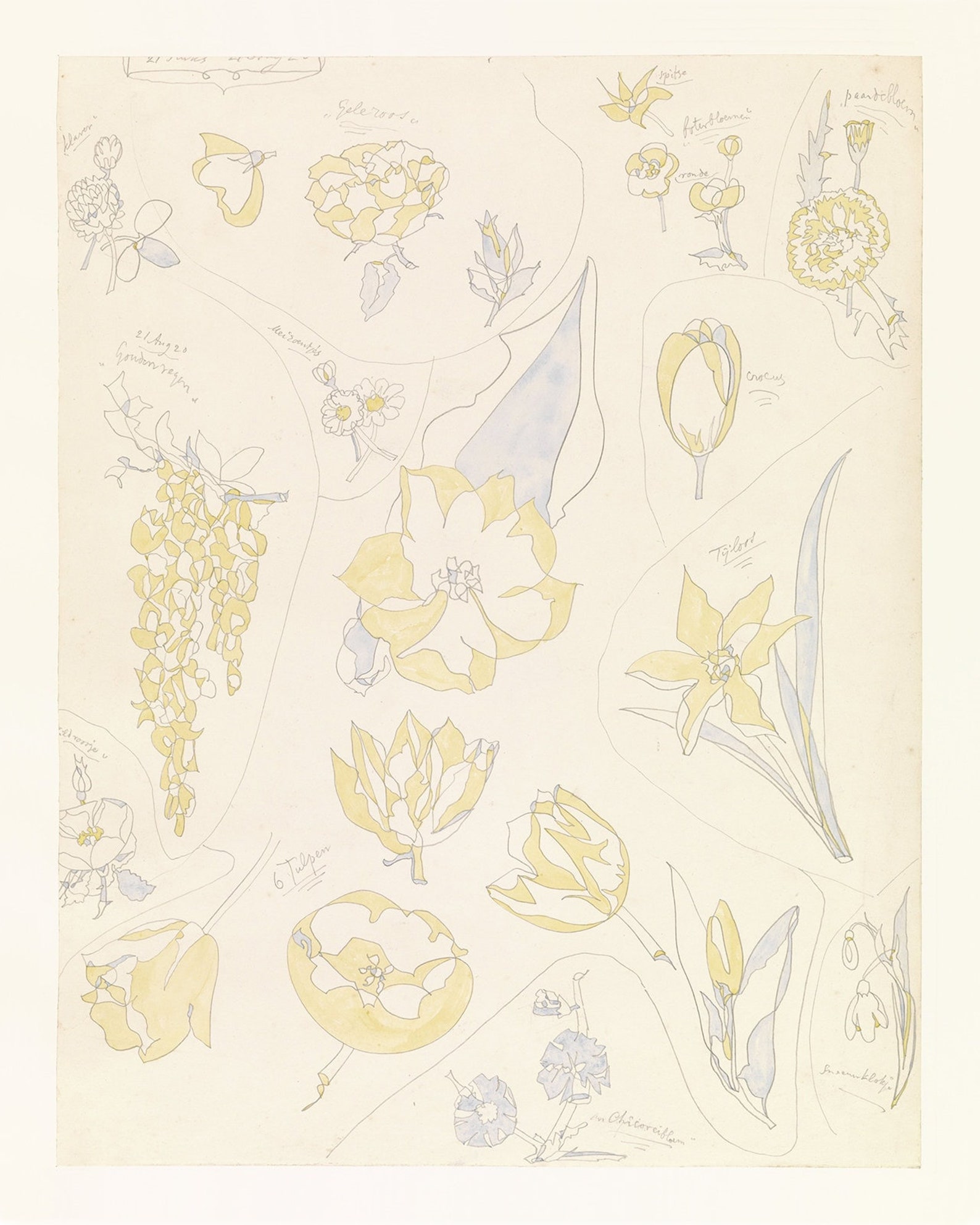Dutch Porcelain Flower Sketch Art Print / Botanical Art / Art Print ...